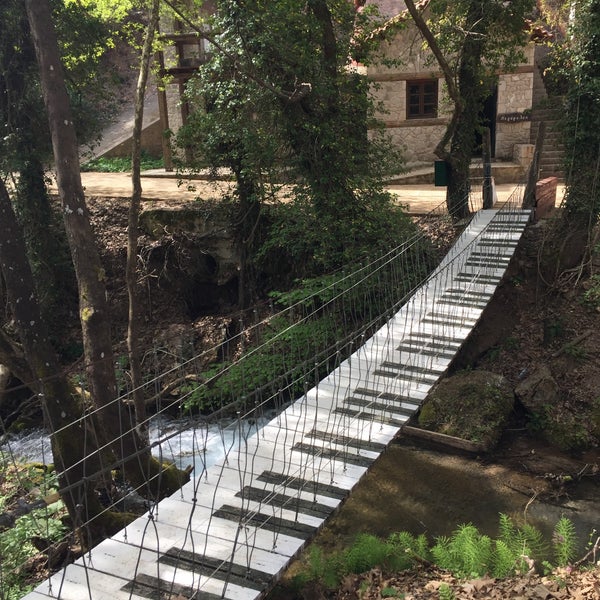 Photos at Parkaki Dentrospita - Forest in Payliani