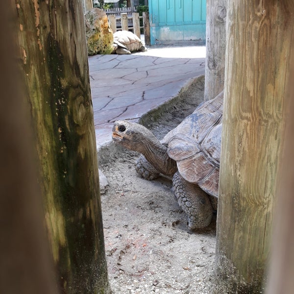 Gatorland Gift Shop - Orlando, FL