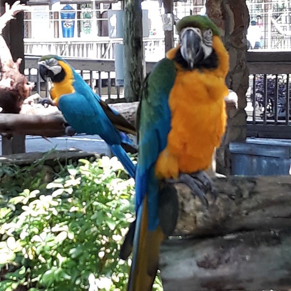 Gatorland Gift Shop - Orlando, FL