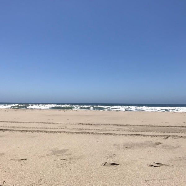 Sunset State Beach - 8 tips from 781 visitors