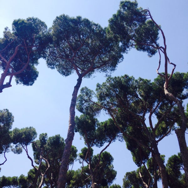 Parco Regionale Del Pineto - Park in Primavalle