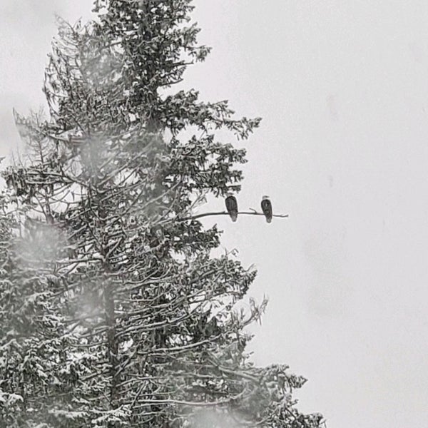 Mineral Ridge Scenic Trail - Hiking Trail