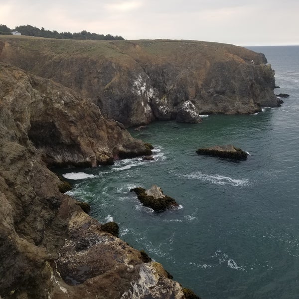 Gualala Point Regional Park - Trail
