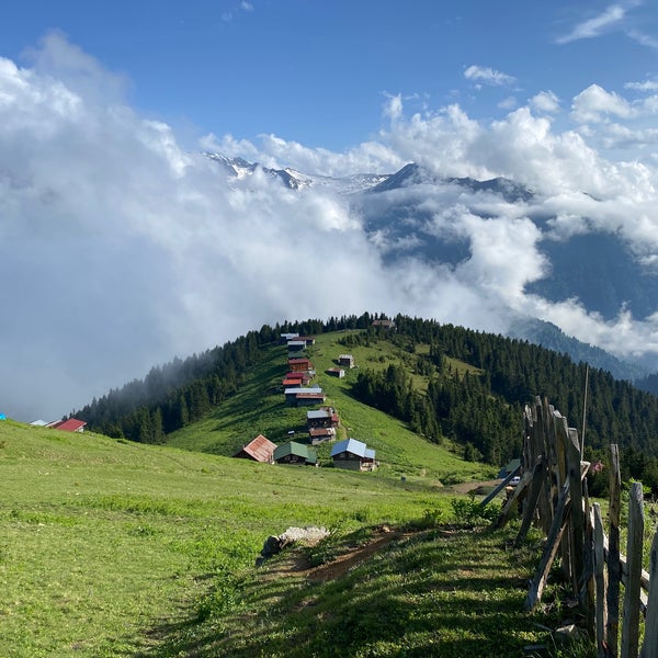 Pokut Yaylası - 65 tips from 6415 visitors