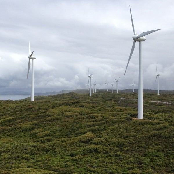 Albany Wind Farm - 5 tips from 294 visitors