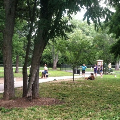 Dog Park at Godown Park - 10 tips