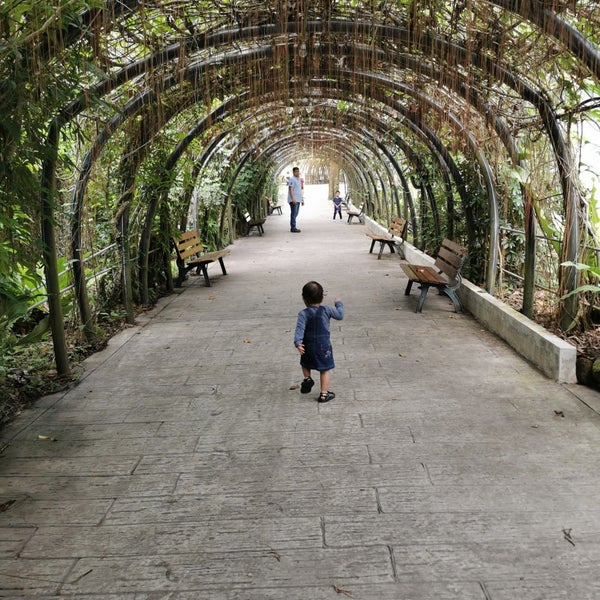 Refarm Leisure Farm - Farm