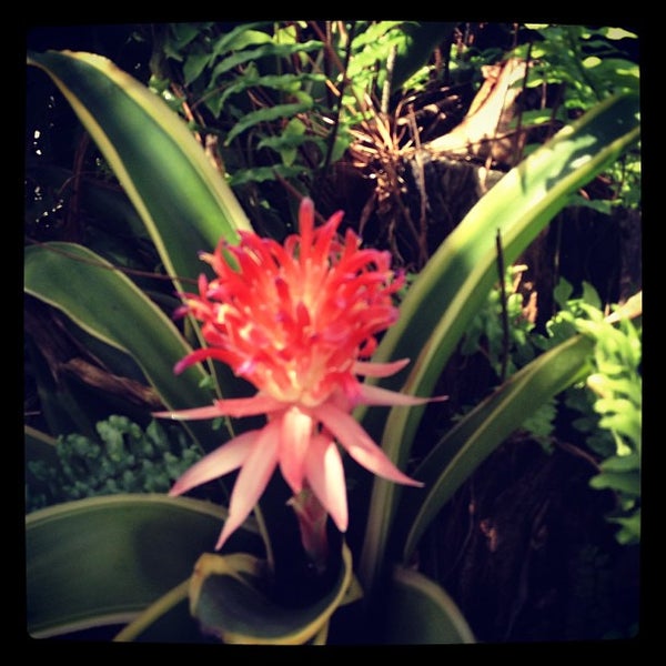 Photos at Birge Hall - College Science Building in Madison