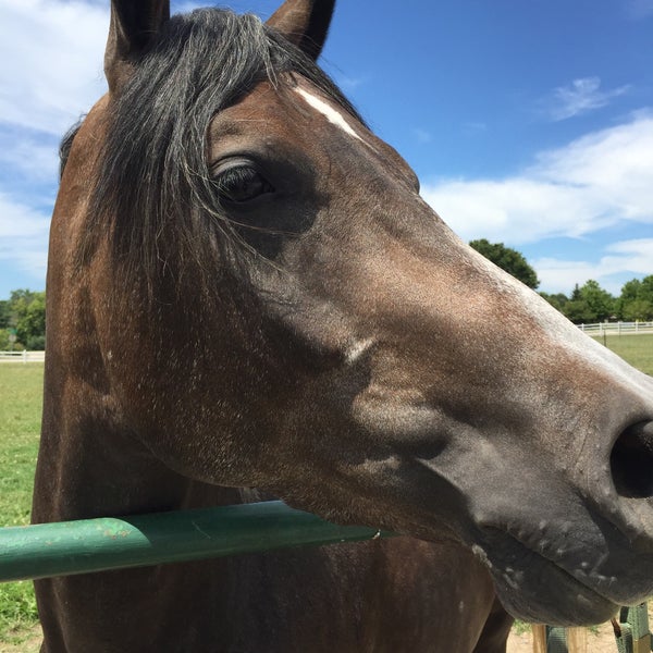 MSU Horse Barns - Lansing, MI