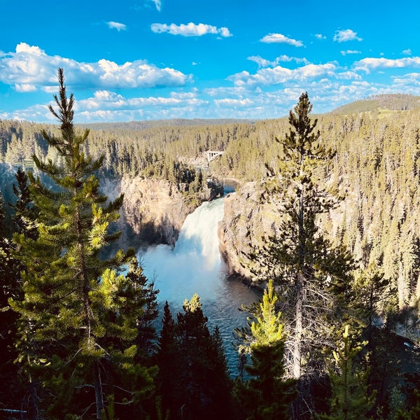 Upper Falls Overlook - Yellowstone National Park, WY