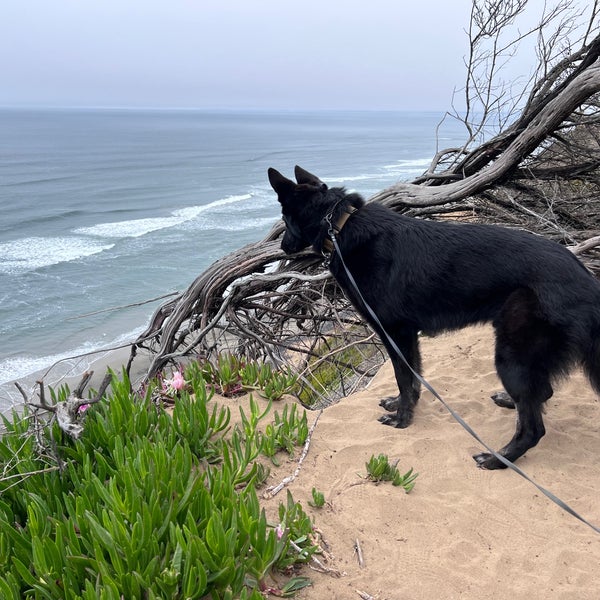 Fort Funston - Park in Lakeshore
