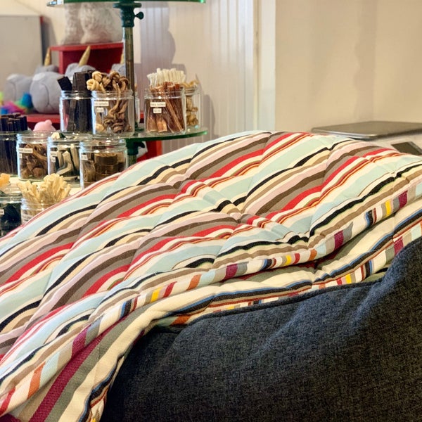 George - Pet Supplies Store in San Francisco