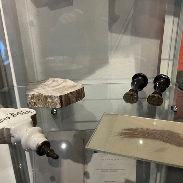 Multatuli Museum - Grachtengordel-West - Amsterdam, Noord-Holland