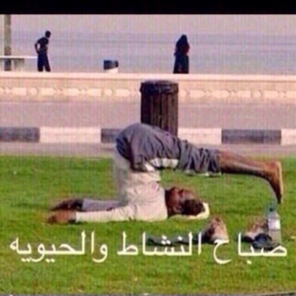 Shamel Food Co. - Office in العليا