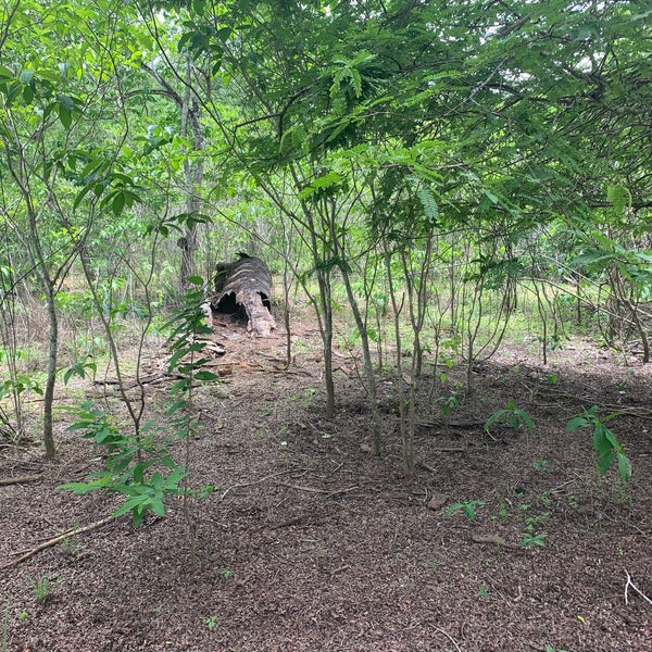 Komodo National Park - National Park in Pulau Komodo