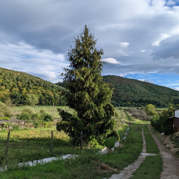 Sirok - 3 tips from 330 visitors