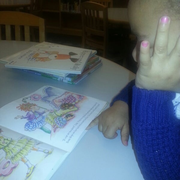 Chicago Public Library - Avalon Park - Chicago, IL
