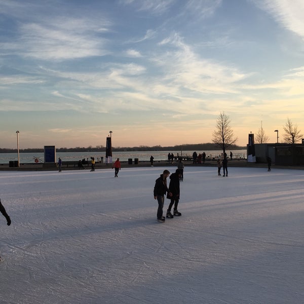 Photos at Natrel Pond/Rink - Skating Rink in Toronto