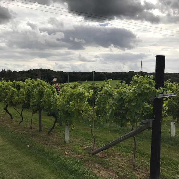Biddenden Vineyard - Biddenden, Kent