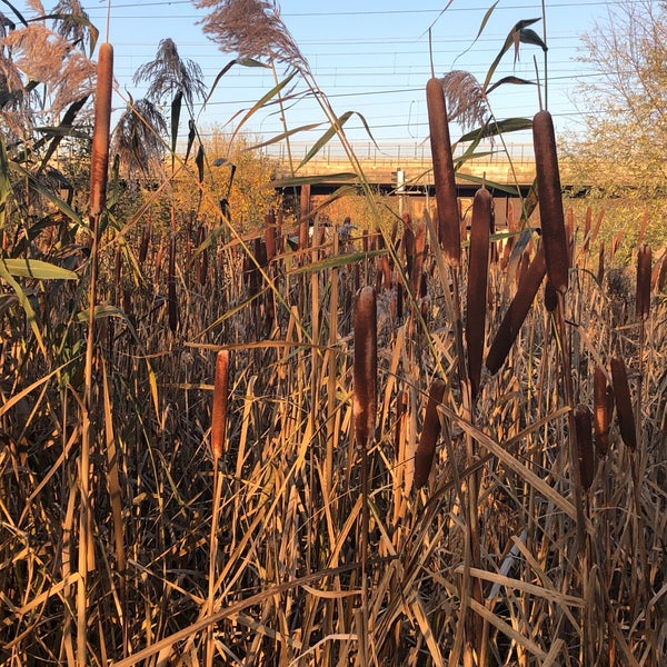 RSPB Rainham Marshes Nature Reserve - New Tank Hill Rd