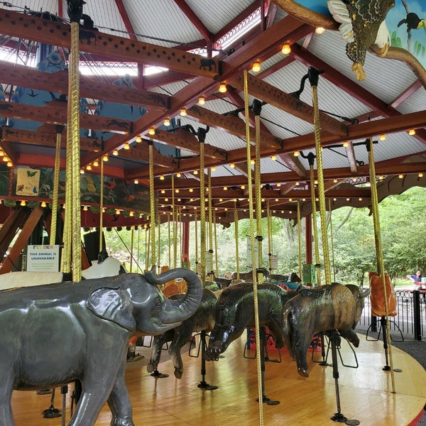 Speedwell Conservation Carousel - National Zoological Park - 3 tips ...