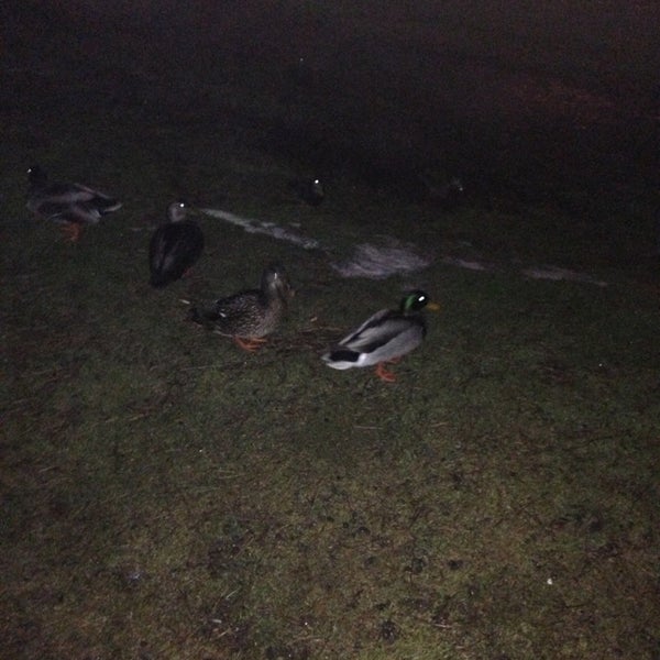 Morash Park - East Dartmouth - Halifax, NS