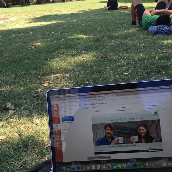 South Mall - College Quad in University of Texas-Austin
