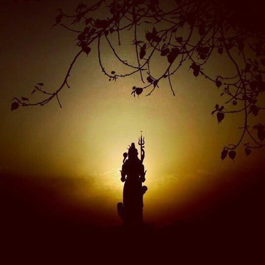 Sur Sagar Lake - 5 tips