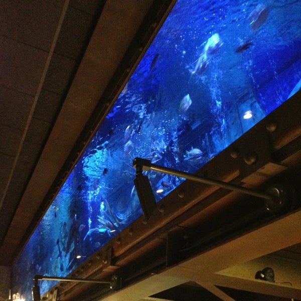 Dive Bar - Dive Bar in Downtown Sacramento