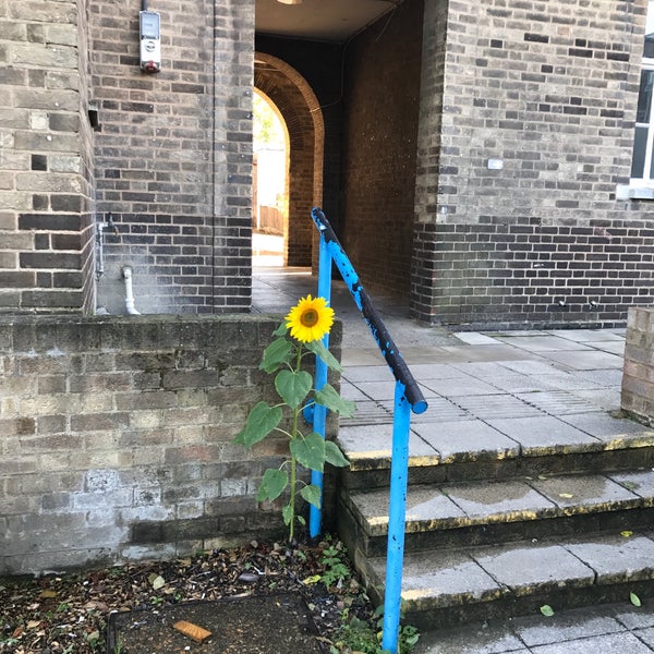 Froebel College - Wandsworth - Roehampton University