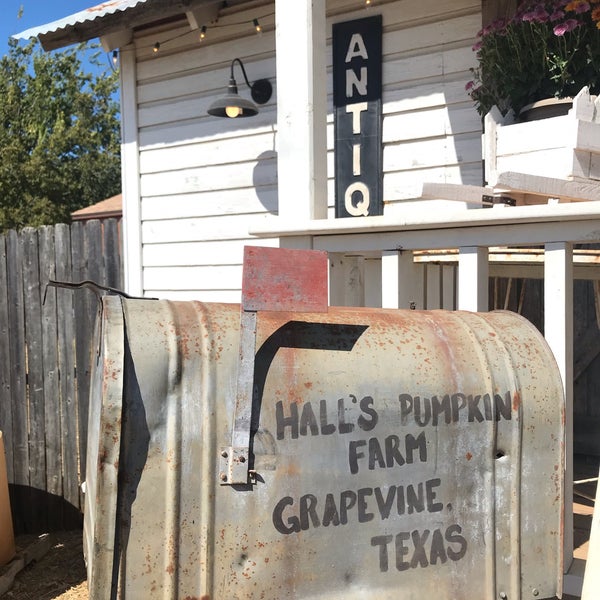 Hall Pumpkin Farm - 13 tips