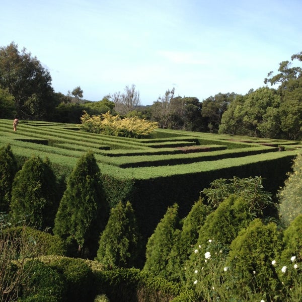 The Enchanted Maze Garden - 8 tips