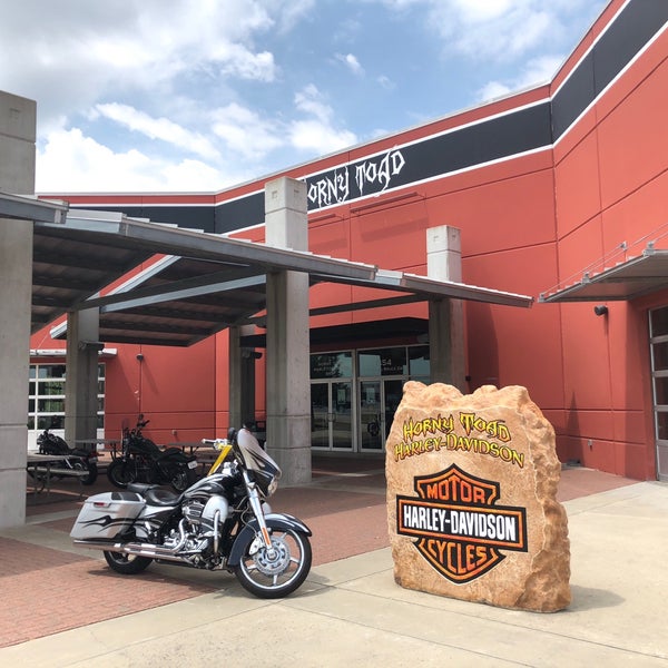 Horney Toad Harley Davidson
