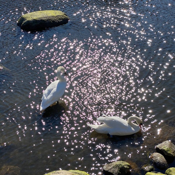 Tuborg Havnepark - Office in Hellerup
