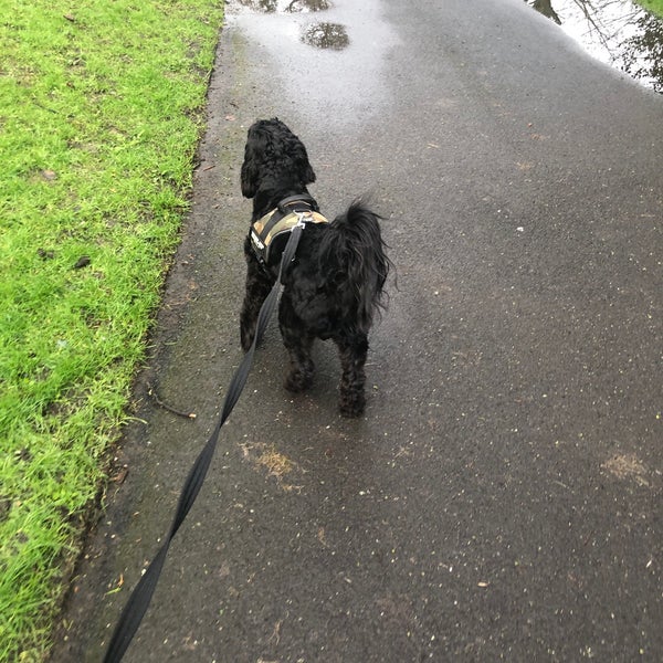 Preston Cemetery/Tynemouth Crematorium - Cemetery