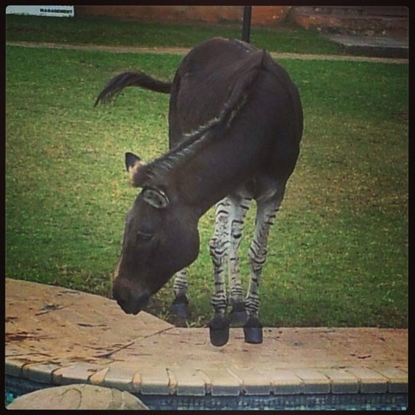 Heia Safari Ranch - 9 tips from 220 visitors