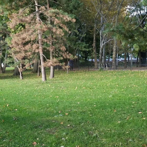 Photos at Arthur Ross Pinetum - Central Park - Central Park W