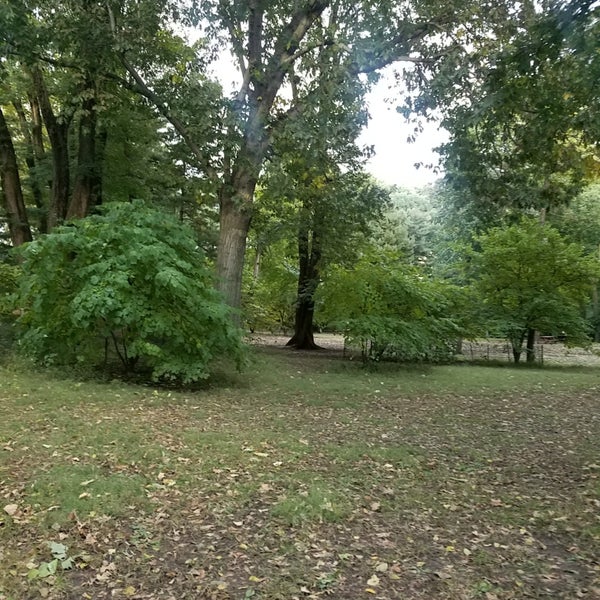 Photos at Arthur Ross Pinetum - Central Park - Central Park W