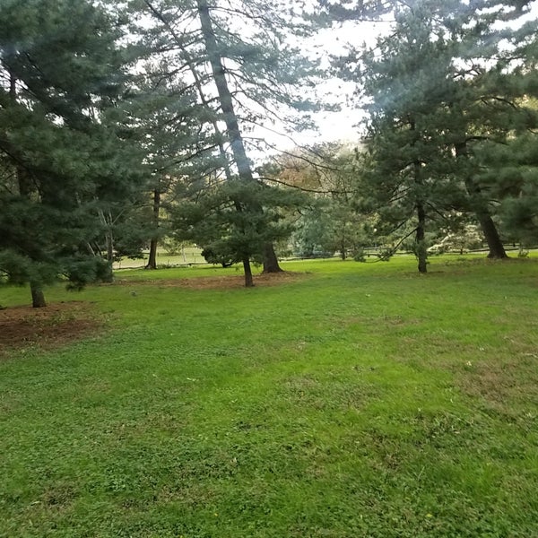 Photos at Arthur Ross Pinetum - Central Park - Central Park W