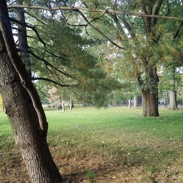 Photos at Arthur Ross Pinetum - Central Park - Central Park W