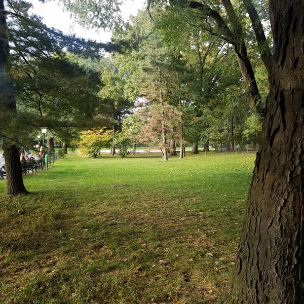 Photos at Arthur Ross Pinetum - Central Park - Central Park W