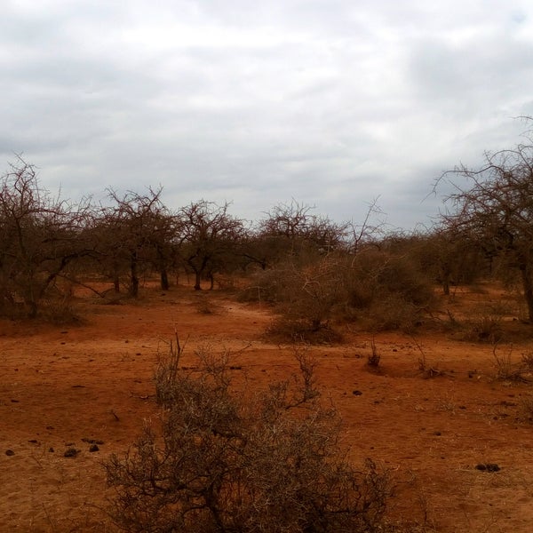 Kajiado Town - Travel and Transportation