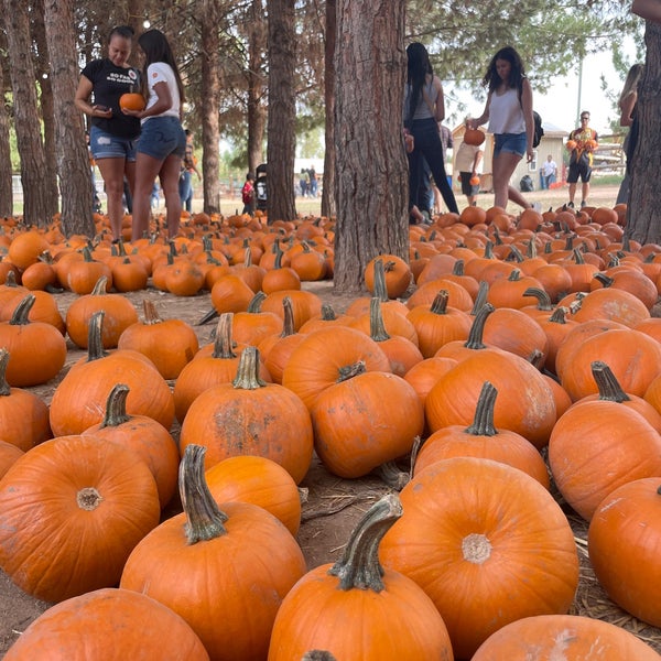 Mother Nature's Farm - Farm