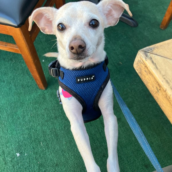 Balompié Cafe #3 - Latin American Restaurant in Bernal Heights