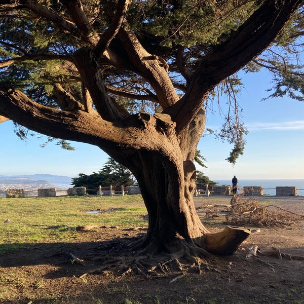 Photos at Sutro Heights Park - Sutro Heights, San Francisco, CA - 48th Ave