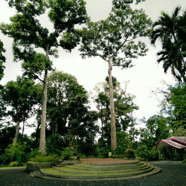 Uplb Botanical Garden | Fasci Garden