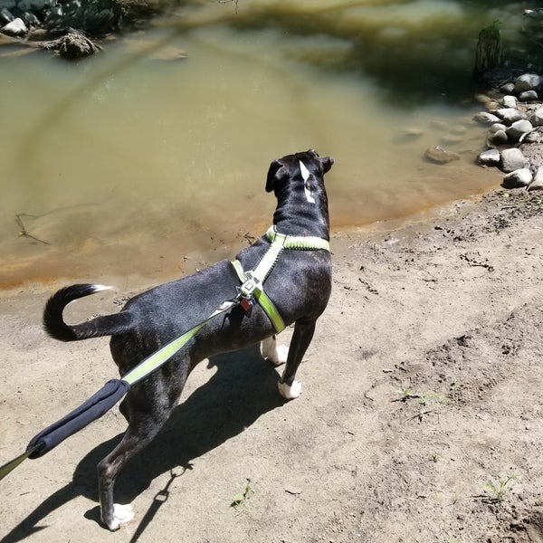 Photos at Creek Ridge County Park - 3 tips from 162 visitors