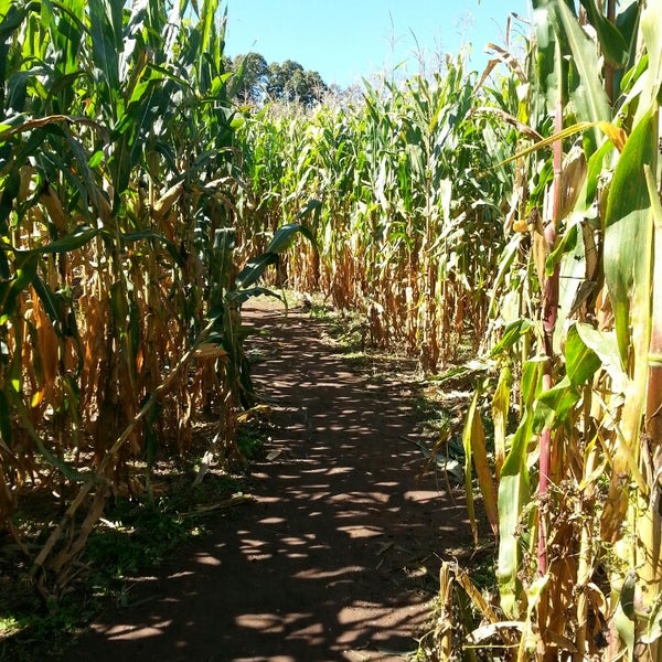 Cagles Dairy Farm - 12 tips from 857 visitors