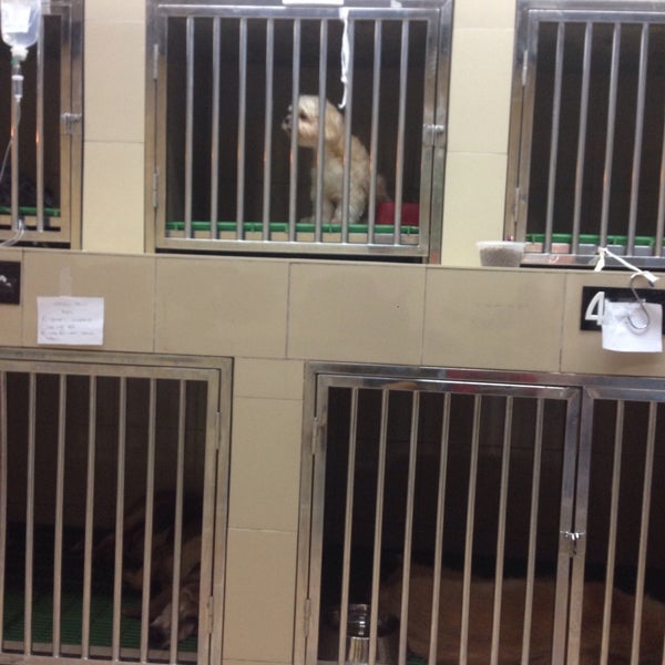 Photos at Gasing Veterinary Hospital - Veterinarian in Petaling Jaya