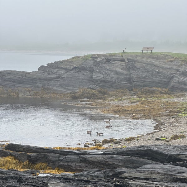 Kettle Cove - 7 tips